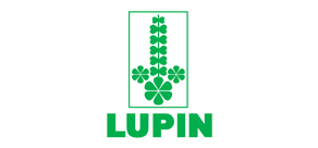 Dyke Engineering Services